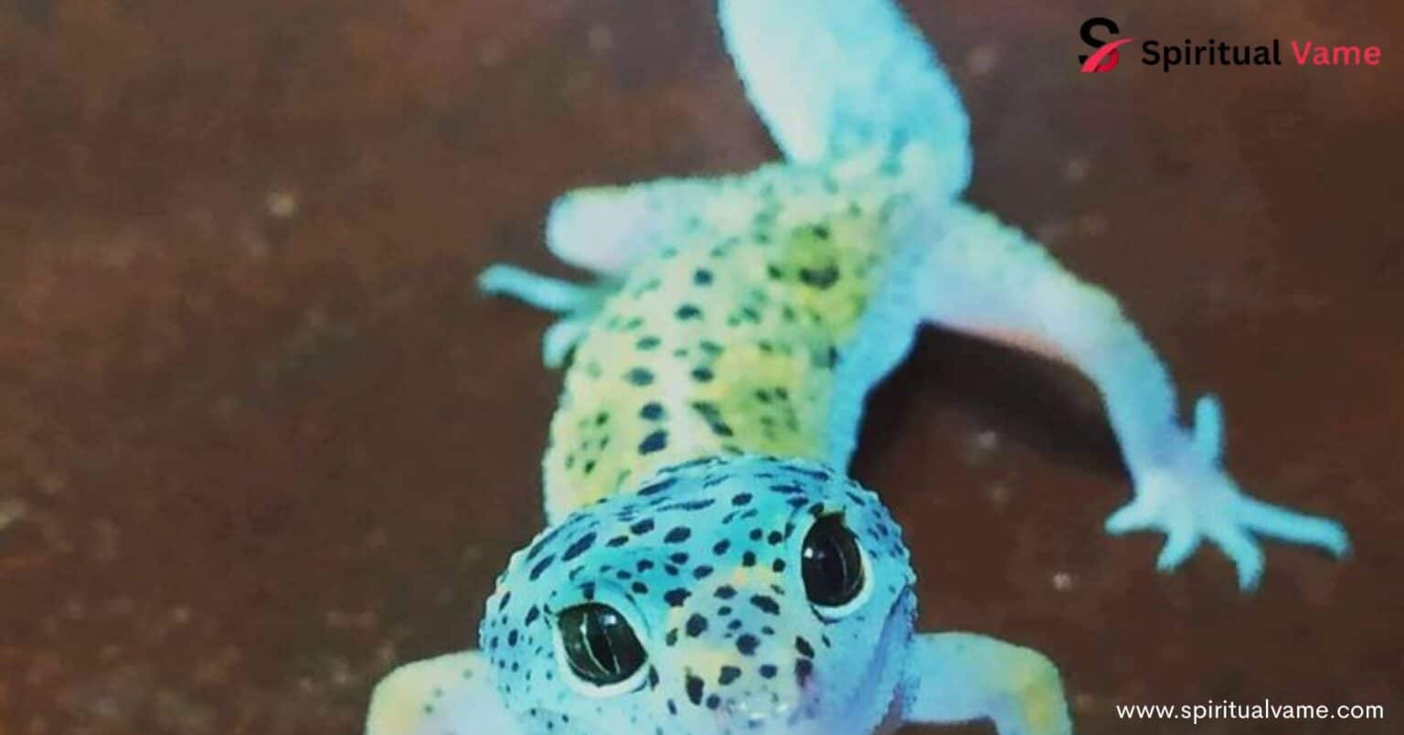 10+ Amazing Spiritual Meanings of a Gecko - Spiritual Vame