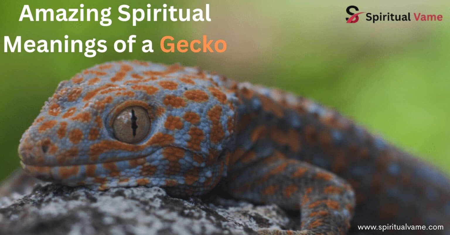10+ Amazing Spiritual Meanings of a Gecko - Spiritual Vame